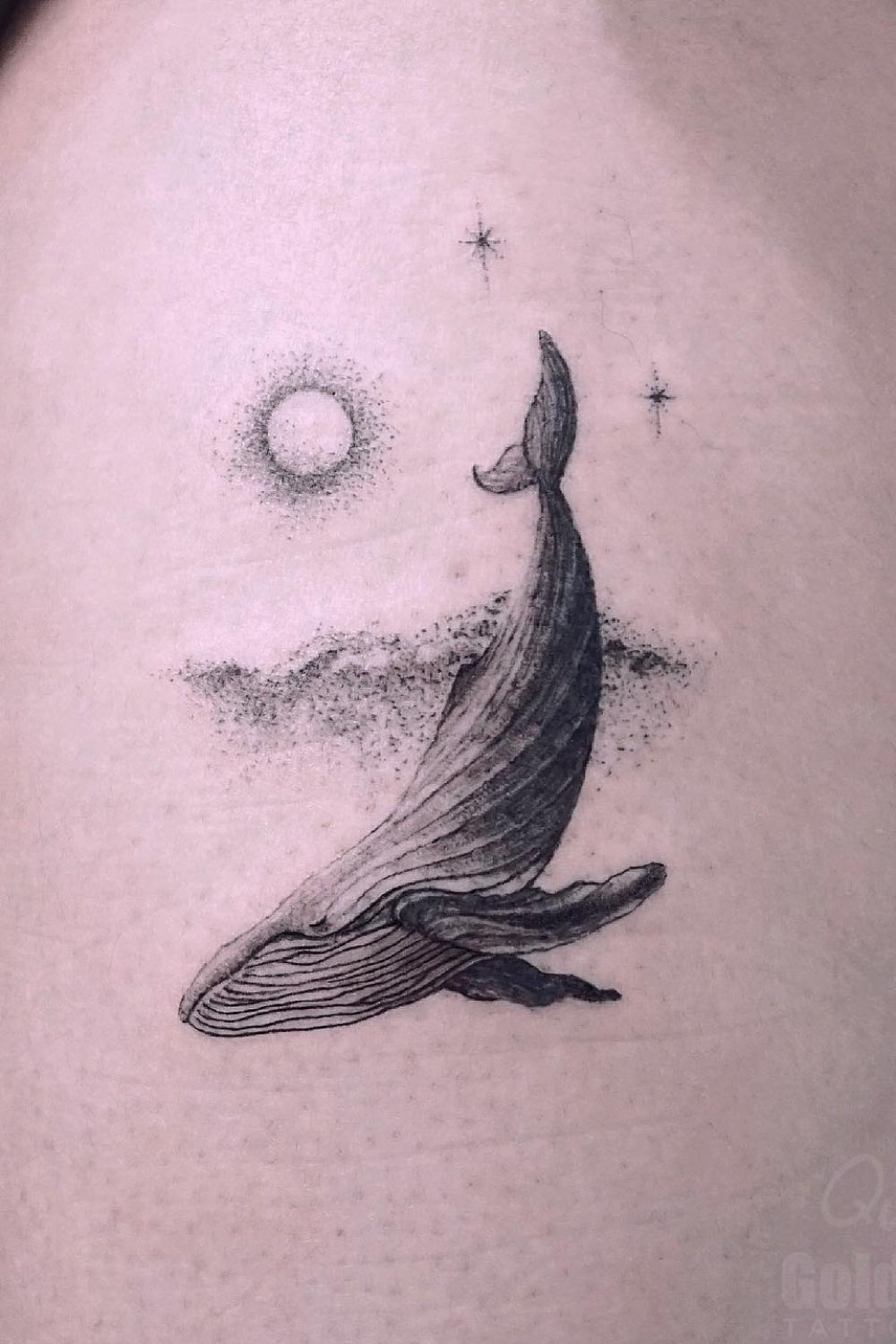 30 Stunning Sea Life Tattoos For Women