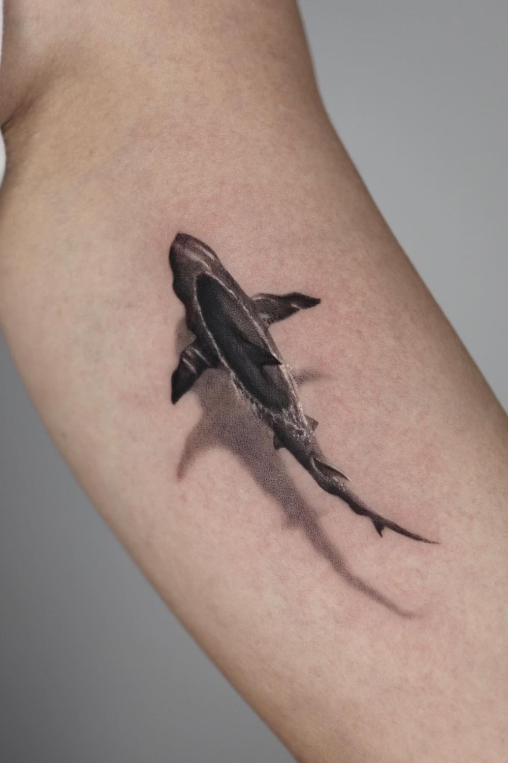 25 Stunning Ocean Animal Tattoos