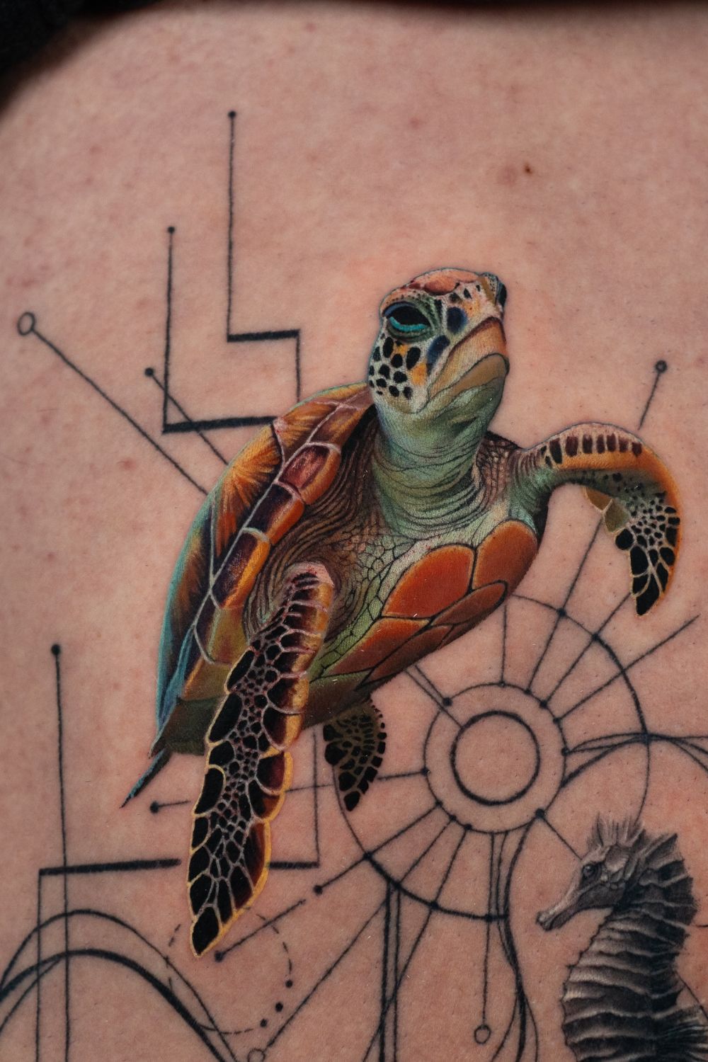25 Stunning Ocean Animal Tattoos