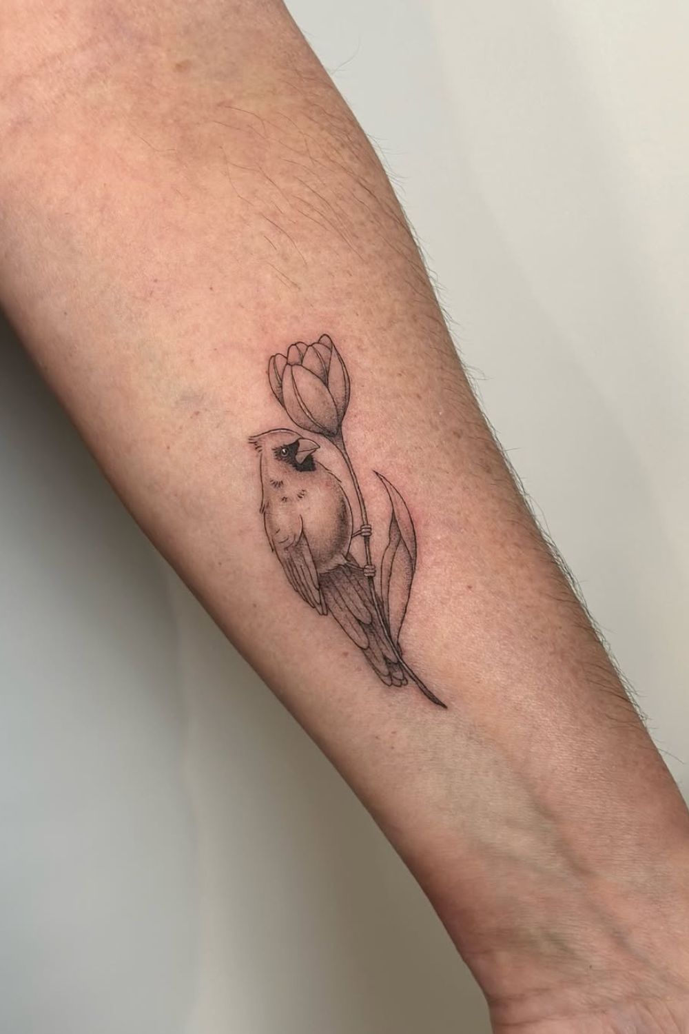 23 Red Cardinal Tattoo Inspiration